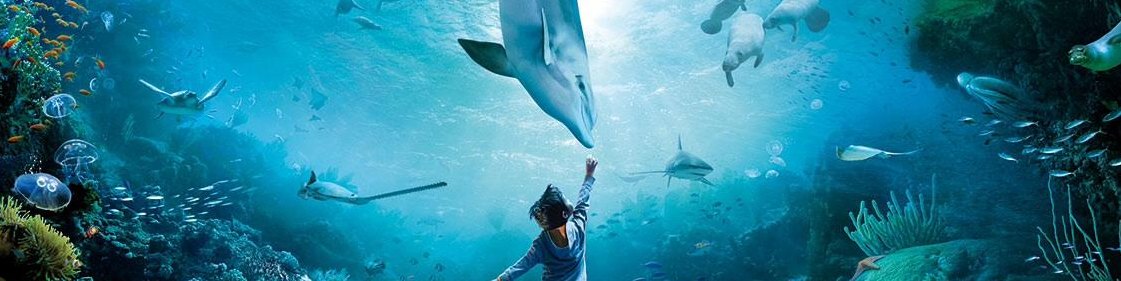 Acquario di Genova: it excites you by nature