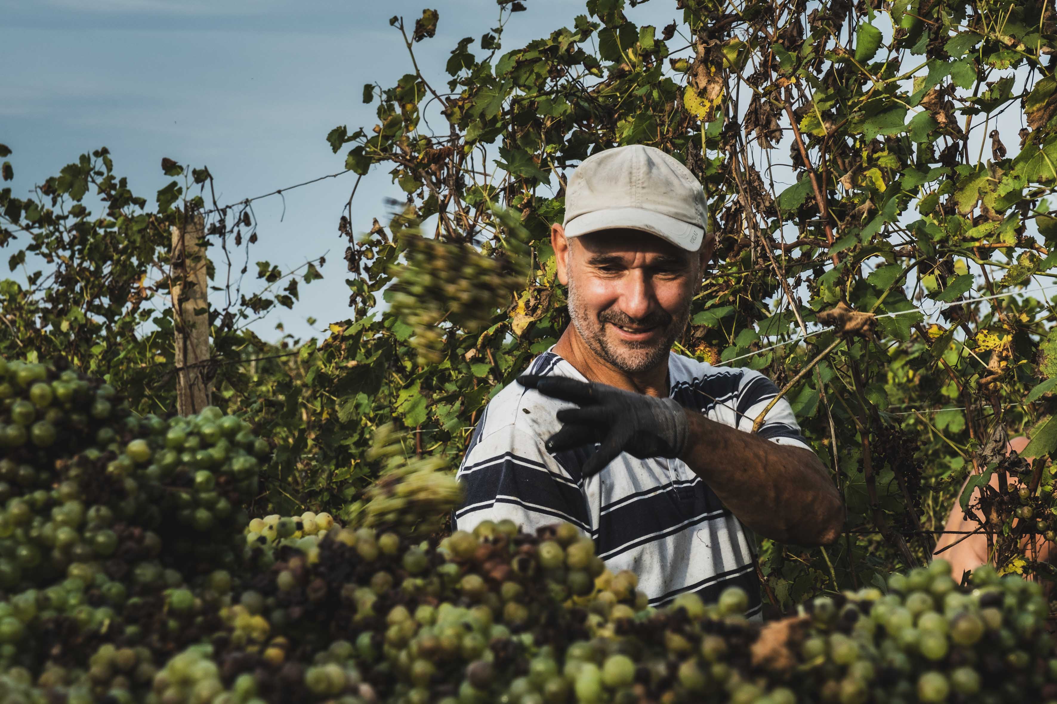Lake Garda Photo Challenge. Theme “Cantine Lugana Sirmione”
